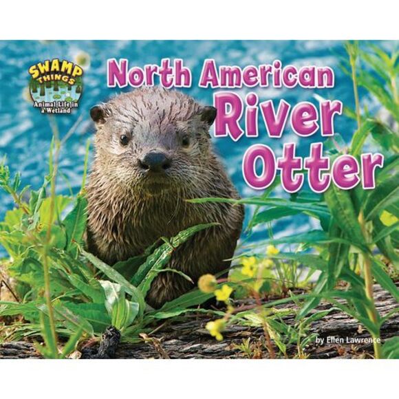 Ellen Lawrence | Other | North American River Otter Ellen Lawrence ...